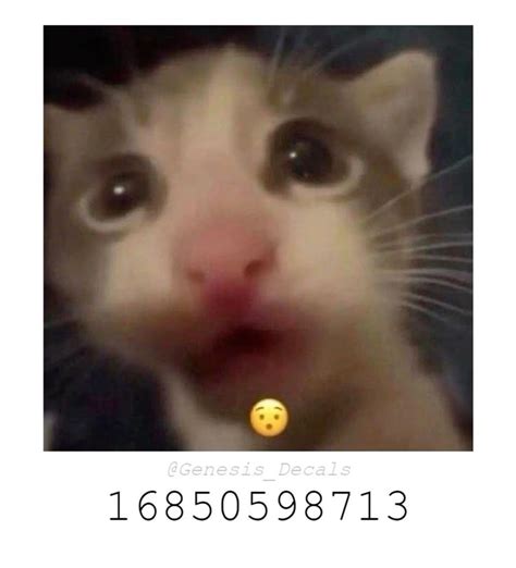 Cat Decal For Roblox In 2025 Cat Decal Roblox Image Ids Roblox Pictures