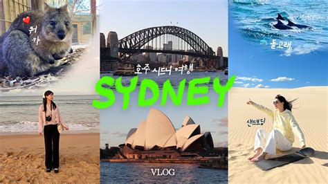 시드니 여행 어때요 🇦🇺 호주 여행 시드니 맛집 And 돌고래 페리와 사막 샌드보딩 그리고 쿼카 포트스테판 시드니 여행 브이로그 Sydney Vlog