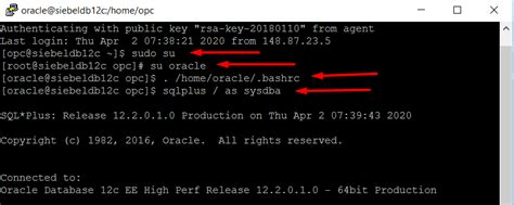 Deploying Siebel Application Using Docker Image On Oracle Cloud