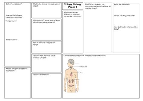 Aqa Biology Paper 2 Revision Combined Science Teaching Resources