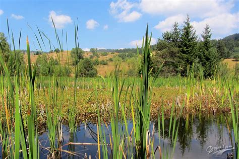 Devin Devin Added A New Photo