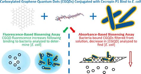 Fluorescent Assisted Nanosensor Array Based On Graphene Qds Attached Download Scientific