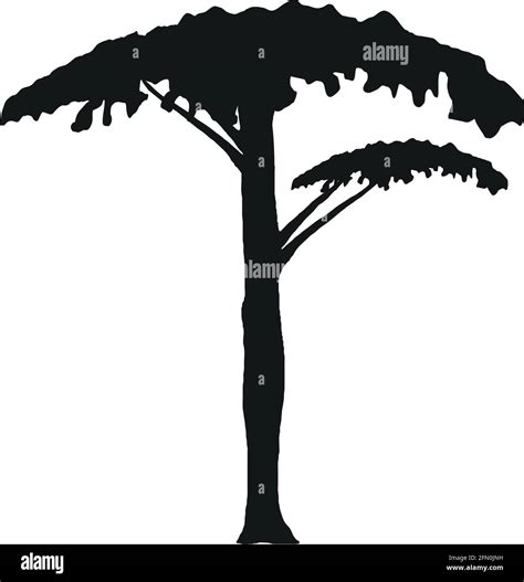 Silhouette Deciduous Tree Stock Vector Image And Art Alamy