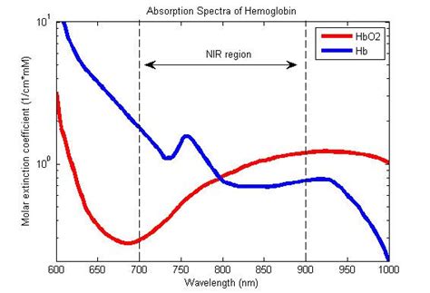 Functional Near Infrared Spectroscopy Alchetron The Free Social Encyclopedia