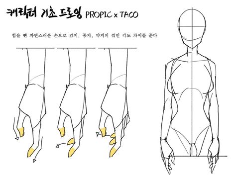 타코작가 On Instagram 타코 타코작가 드로잉 캐릭터 그림강좌 일러스트 웹툰 만화 그림 미술 인체