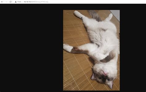 Minio文件服务器 Docker Docker Compose 搭建部署以及使用大全minio Docker Compose Csdn博客