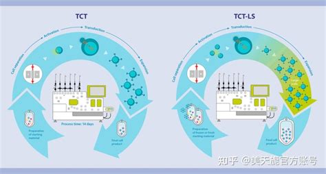 细胞培养高扩增率、高存活率的秘诀——美天旎clinimacs Prodigy Tct Large Scale新应用程序 知乎