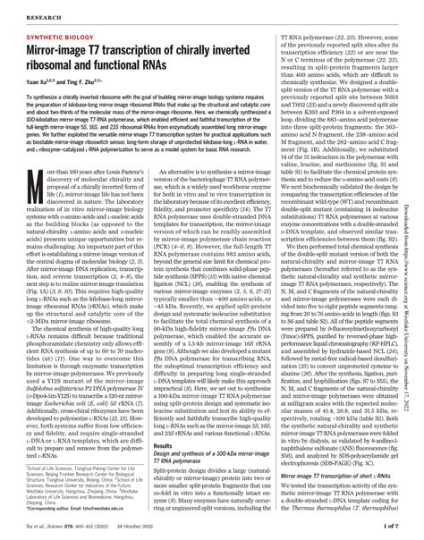 Pdf Mirror Image T7 Transcription Of Chirally Inverted Ribosomal And Functional Rnas