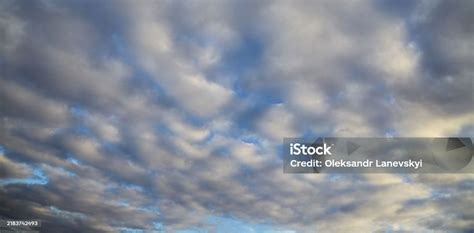 적운 백색과 회색 구름이 줄지어 있고 연속적인 덮개를 형성하는 판 또는 조각과 유사한 구름 다양한 흐림 천체의 풍경 0명에 대한 스톡 사진 및 기타 이미지 Istock