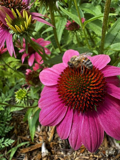 Kickin Grass Landscapes And Hardscapes Llc Customer Note We Are