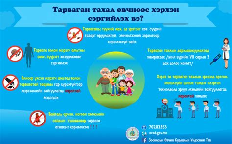 Тарваган тахал өвчний халдварлах зам урьдчилан сэргийлэх аргууд News Mn