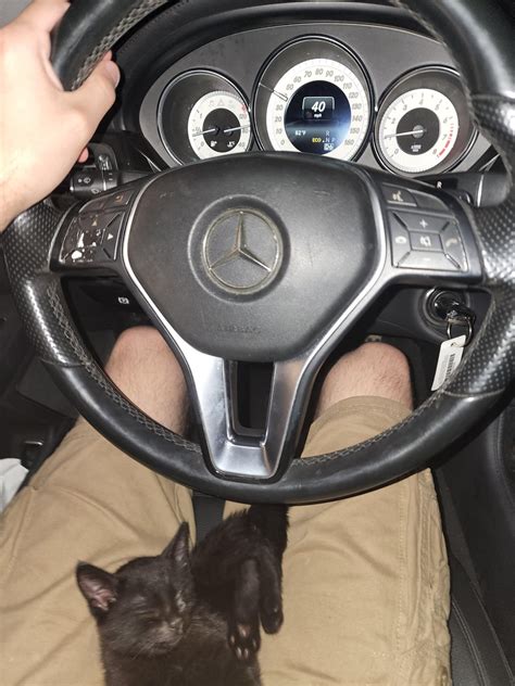 Sleepy Kitty Rtightpussy