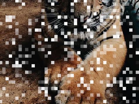 Fade In On Scroll Using Css And Javascript — Codehim