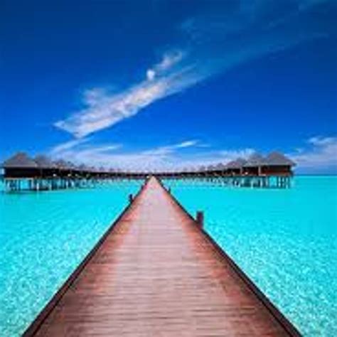 Summer Lust By Listeners Mixcloud