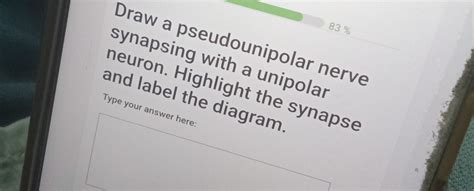 Solved Draw A Pseud Synapsing With Unipolar Nerve Neuron Highlig Unipolar And Label The Dia