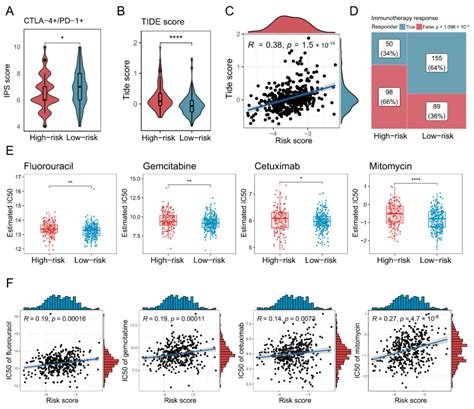 Integration Of Single Cell And Bulk Transcriptome To Reveal An Endothelial Transition Signature
