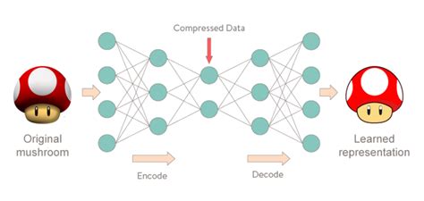 Exemplo De Autoencoder 11 Download Scientific Diagram