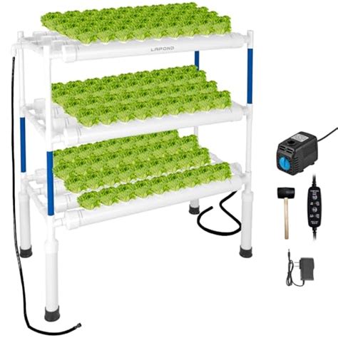 Best Hydroponic Systems For Beginners To Grow Herbs And Vegetables