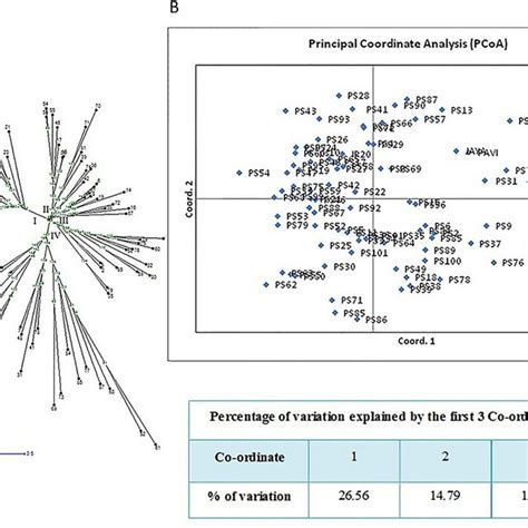 A Neighbor Joining Nj Tree Nj Tree Clustering Constructed Based On Download Scientific