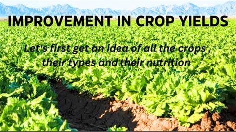 Improvement In Crop Yields1 212531 0000 Pdf