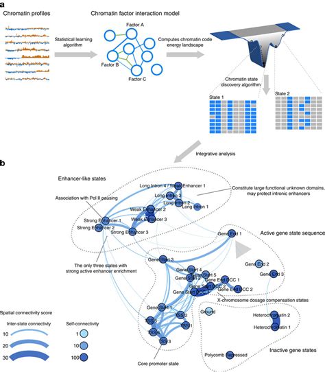 Discovery Of Chromatin States From The Chromatin Code Energy Landscape