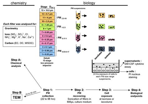 Size Partitioning Of An Urban Aerosol To Identify Particle Determinants