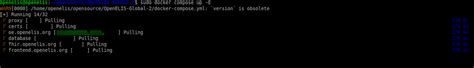 Version Is Obsolete Openelis Global