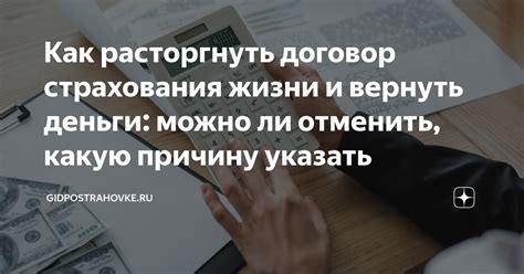 Как расторгнуть договор страхования жизни и вернуть деньги можно ли