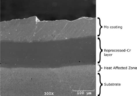 Sem Micrograph Of Mo Coating Download Scientific Diagram