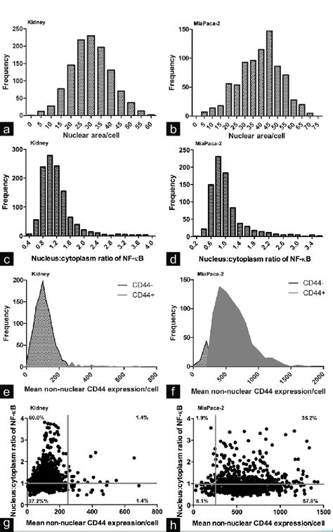 Multiplexed Biomarker Expression In Example Tissue And Cell Line Download Scientific Diagram