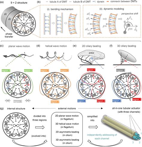 Publications Miniature Intelligent Robotic System Mirs Lab