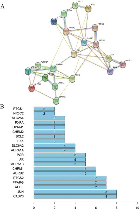 Topological Analysis Of The Target Proteins Of Vd And Szjn Download Scientific Diagram