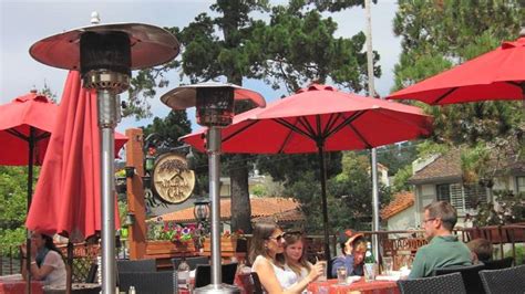 Treehouse Cafe California United States Venue Report