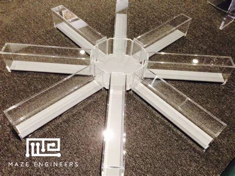 Radial Arm Maze Maze Engineers
