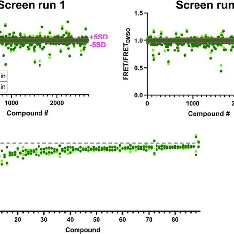 High Throughput Screening Performance Validation Of In Vitro