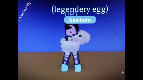 Адопт ми Розыгрыш Youtube