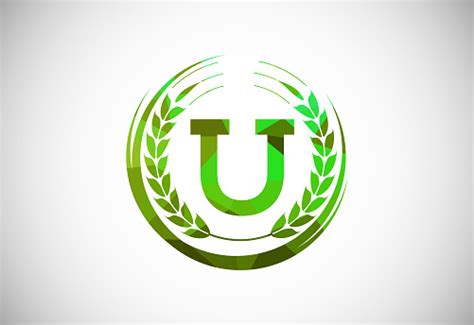 알파벳 U는 밀 화환으로 서명합니다 다각형 낮은 폴리 유기농 밀 농업 로고 개념 농업 로고 디자인 벡터 템플릿입니다 개념에 대한 스톡 벡터 아트 및 기타 이미지 Istock