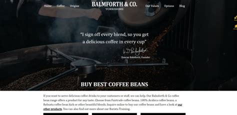 design and redesign a modern and responsive wordpress website elementor