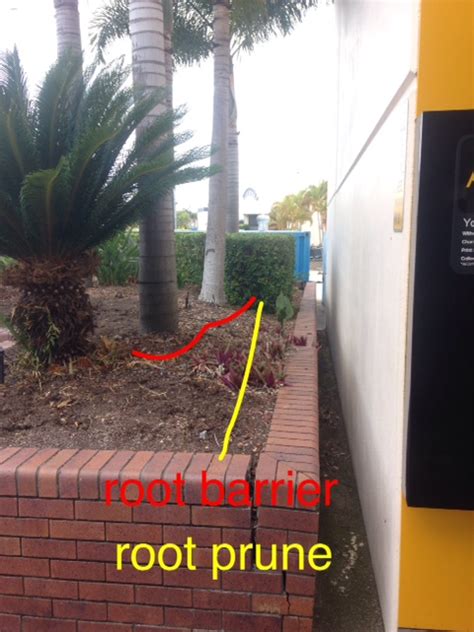 Kings Landscapes Servicing South East Queensland For Over Years