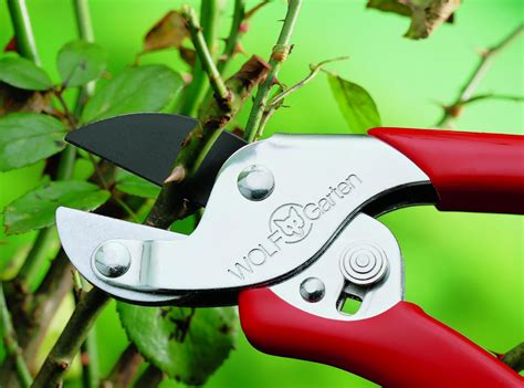 Best Pruning Tools For Plants Bushes And Trees Plantilio