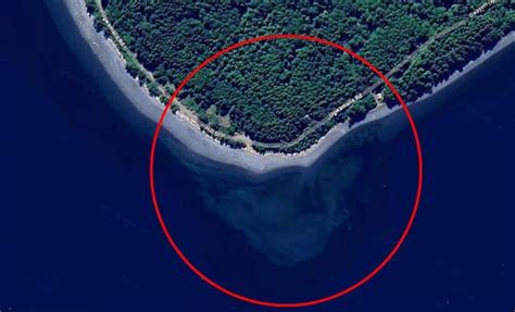 Scientists Just Found A Spider So Huge It Might Have Stalked Dinosaurs