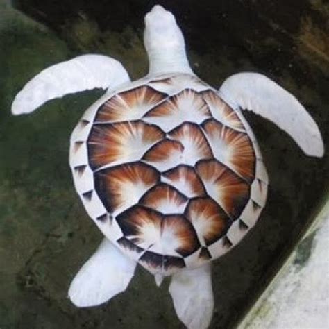 AMLnZu9whsAHT4wh VexzJyJr2I48WOFhlp Yo YlOA S900 C K C0x00ffffff No Rj