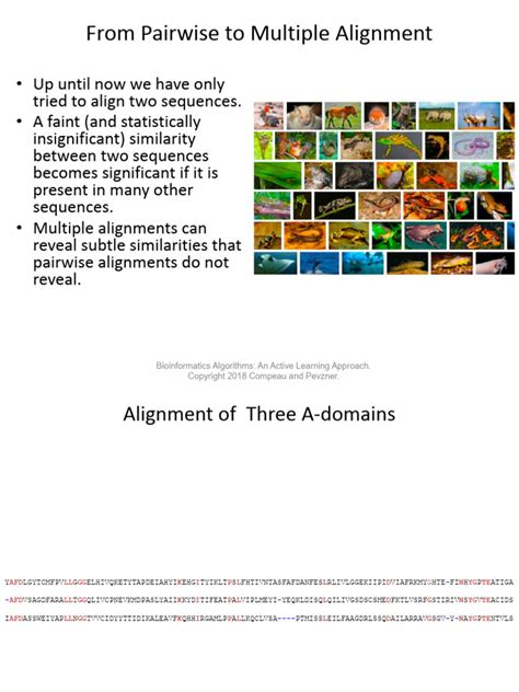 Module Comparing And Visualizing Multiple Biological Sequences Pdf Sequence Alignment