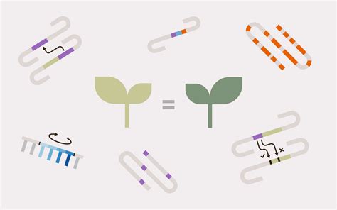 Clarifying Criteria For Plants Using New Genomic Techniques Gain4crops