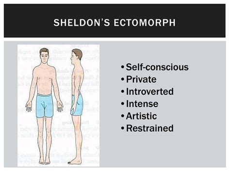 Ppt Trait Personality Theories Powerpoint Presentation Free Download