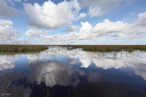 Sawgrass Recreation Park Boat Tour In Everglades Klook