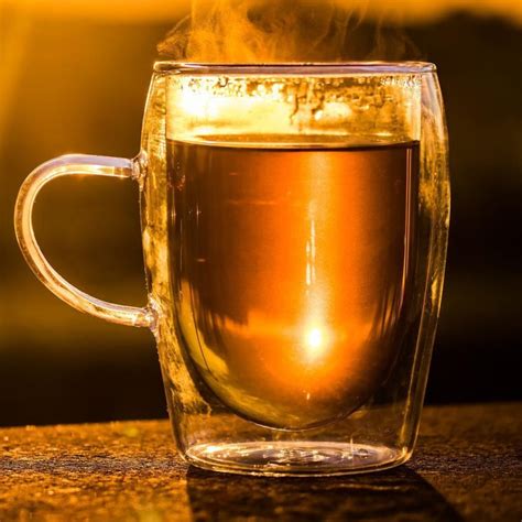 강아지 보리차 식수 대용으로 괜찮을까요 네이버 블로그