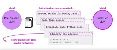 Fine Tuning Large Language Models
