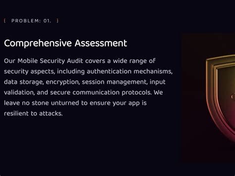 A Comprehensive Software Security Audit Performed Upwork