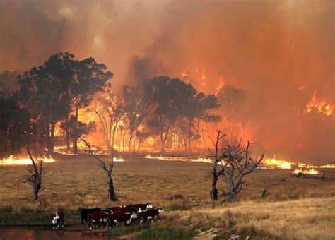Risky Fire Season Ahead Bendigo Advertiser Bendigo Vic